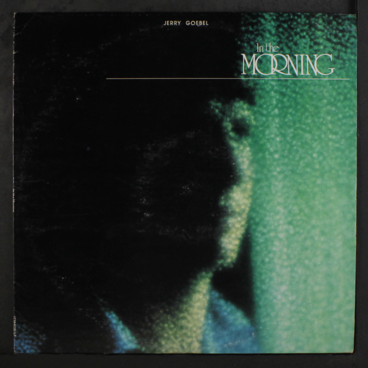 JERRY GOEBEL: in the morning North American Liturgy Resources 12" LP 33 ...